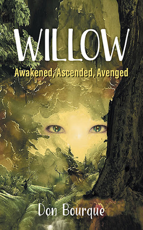 Willow Awakened, Ascended, Avenged - The Willow's Wake Trilogy Vol. 1 - Pretty Bookshelf